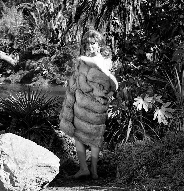 Gilligans Island 1964 With Tina Louise Old Tv Photo 8 50 Picclick Au